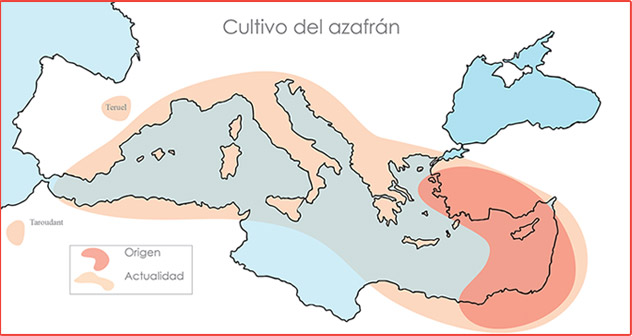 Azafrán Ecológico, el Oro Rojo contra la depresión