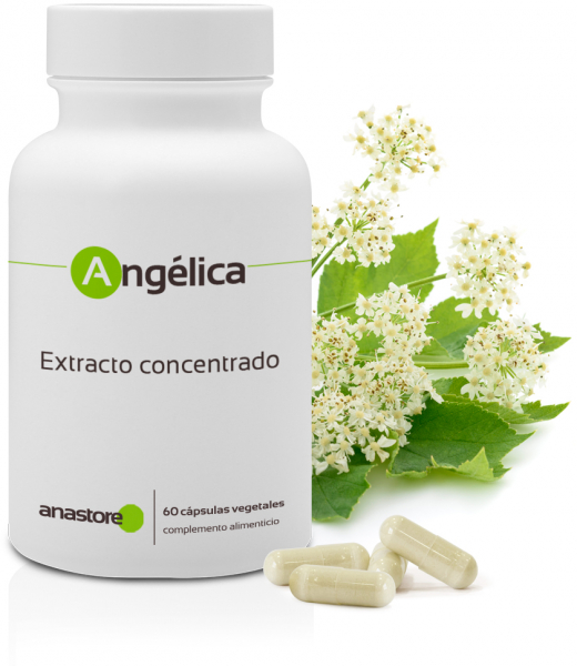 Comprar Angelica: La hierba de los ángeles