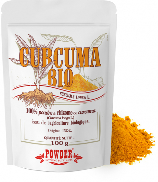 Cúrcuma Bio en polvo: una especia antioxidante